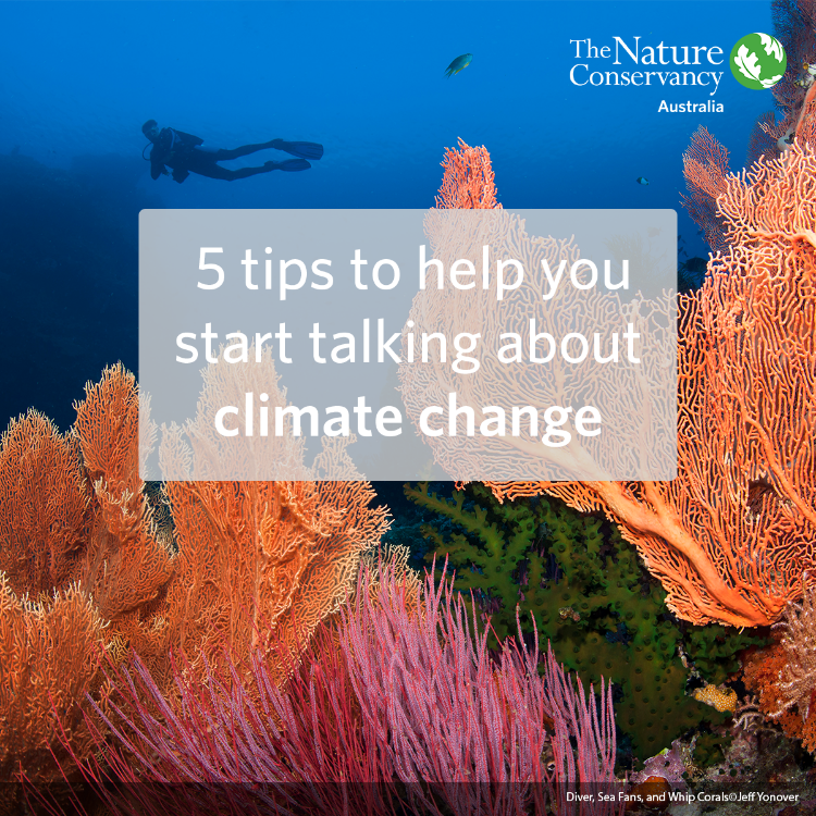 Download Talk About Climate Change Guide - PDF - The Nature Conservancy